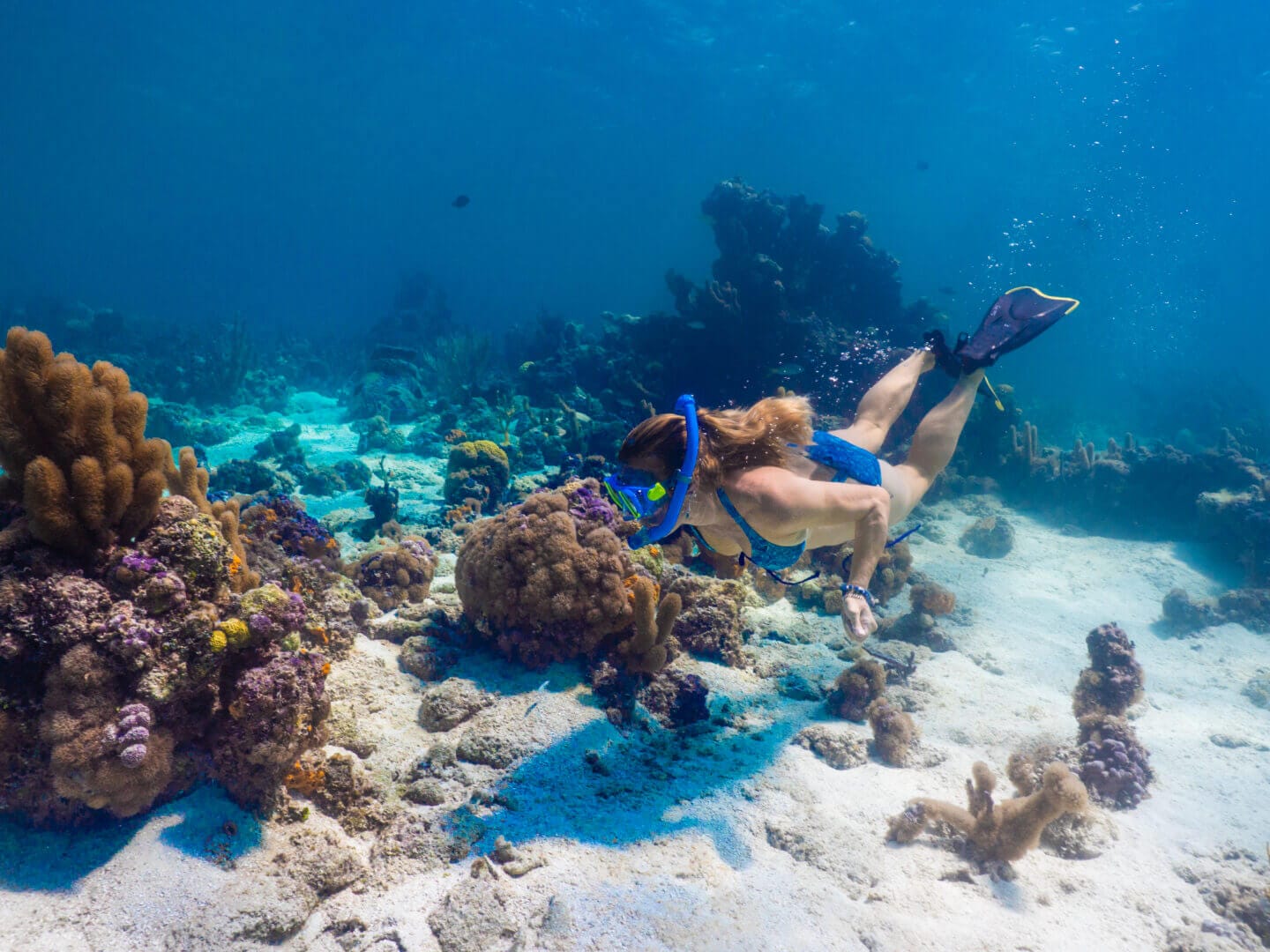 Snorkeling in Turks and Caicos – The Ultimate Guide
