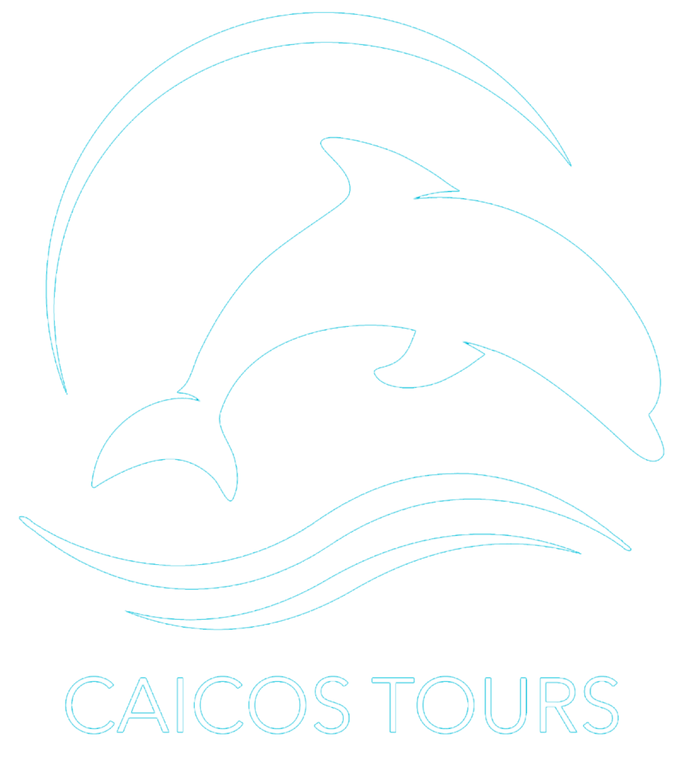 Home | Turks & Caicos Islands